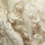 Bombazine Fabric: History, Properties, Uses, Care, Where to Buy